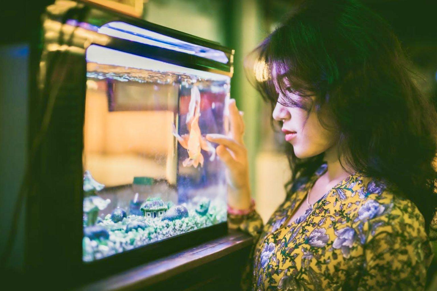 Best Places to Buy an Aquarium: A Comprehensive Guide
